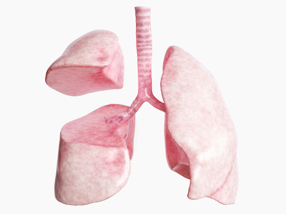 Lobectomia pulmonar: para que serve e como funciona? - Clínica TxTórax